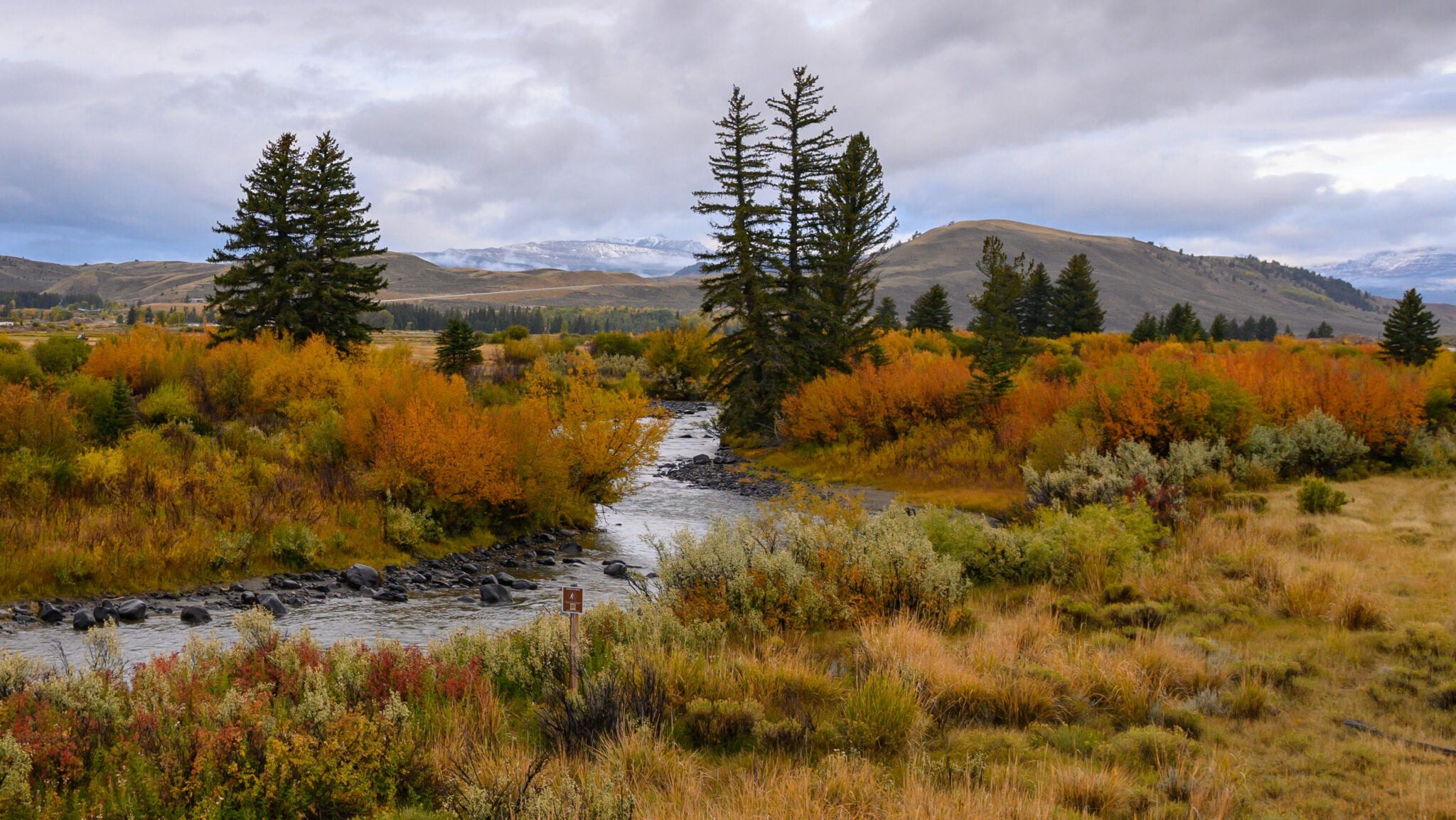 Wyoming Fall Colors