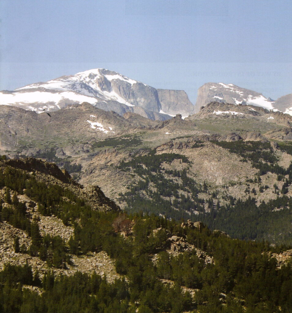 Early Visitors To "The Winds"