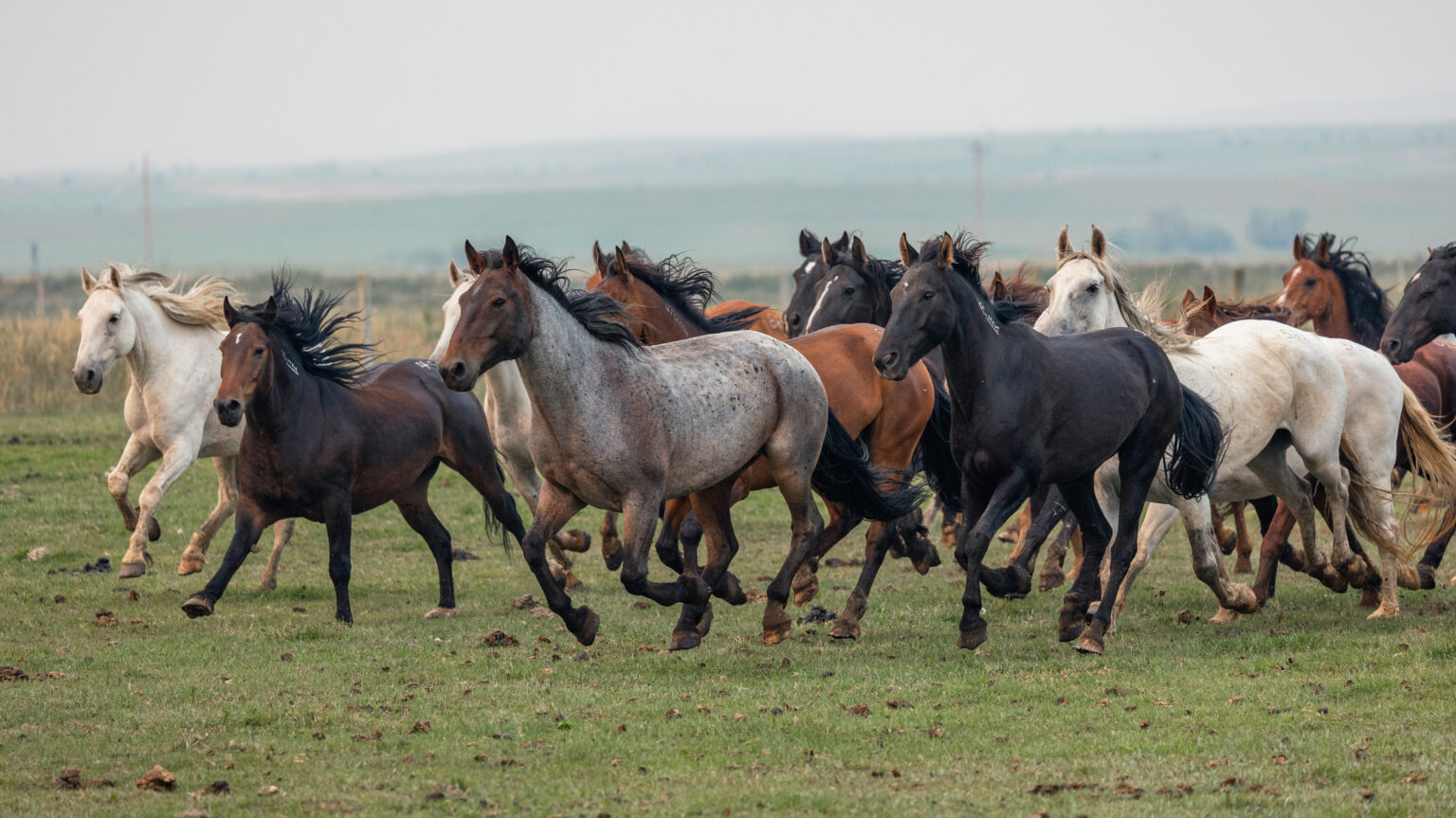 Explore The Wind River Indian Reservation With TravelStorys