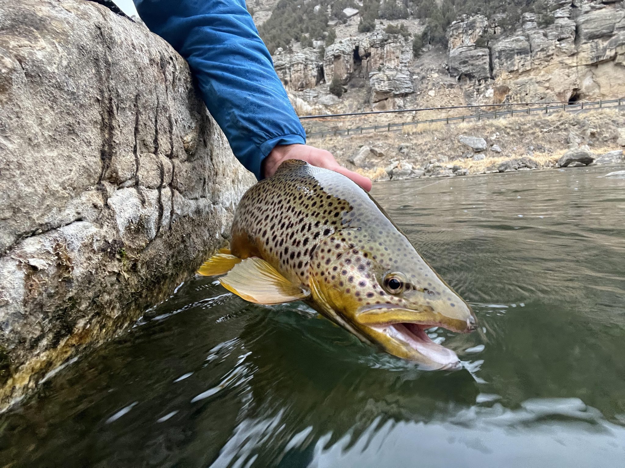 Wind River Reservation Hunting and Fishing Rules