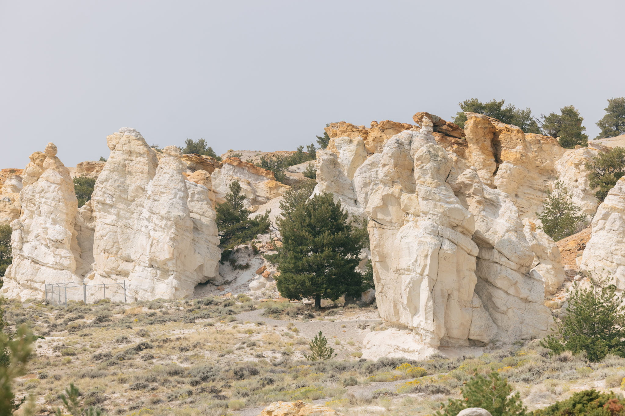 The Best Things to Do in Shoshoni Wyoming | Wind River Country